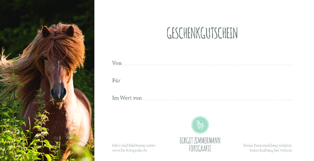 Gutschein Vorlage Pferd Kostenlos