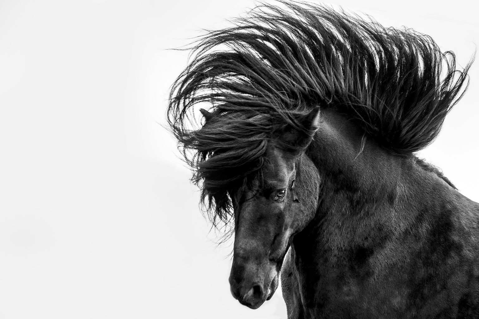 Blog | Birgit Zimmermann Fotografie