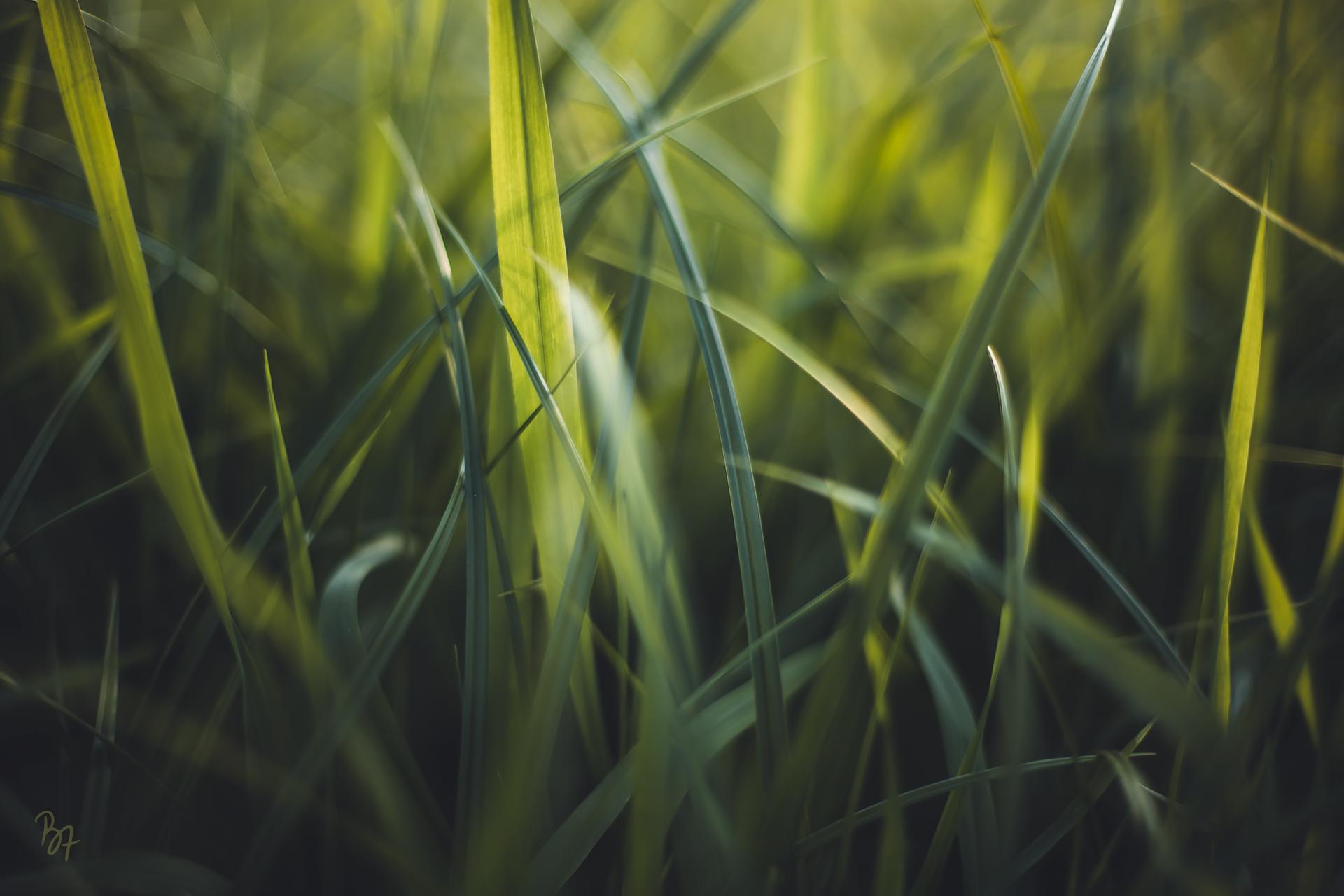 Derek Sivers - Birgit Zimmermann Fotografie