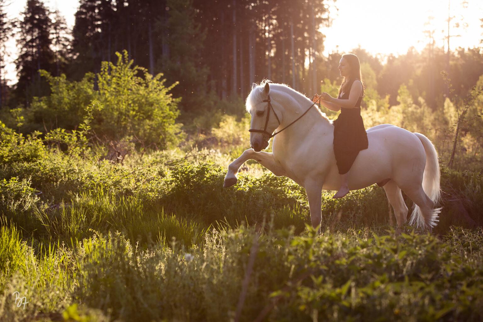 Willkommen - Birgit Zimmermann Fotografie