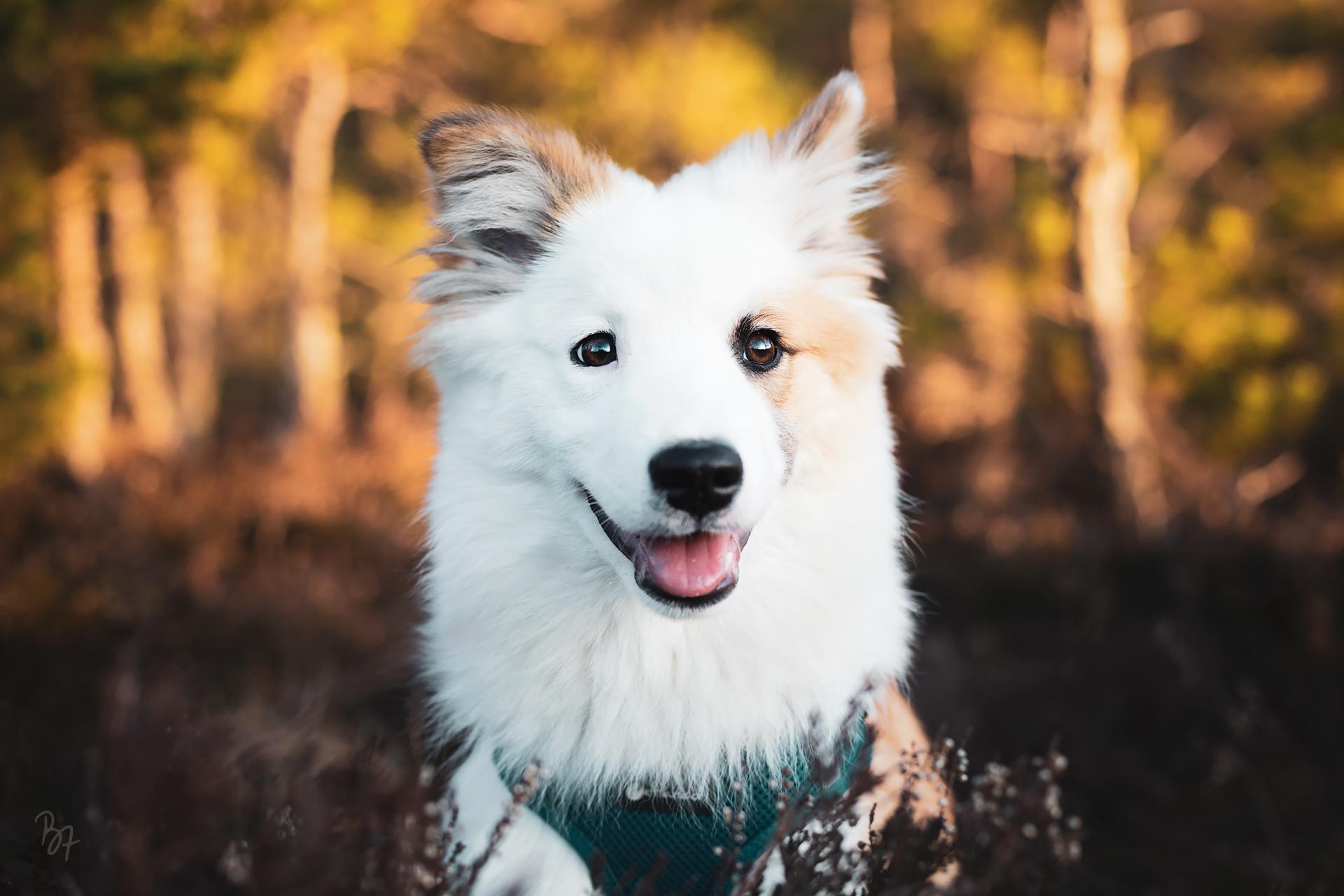 Blog - Birgit Zimmermann Fotografie