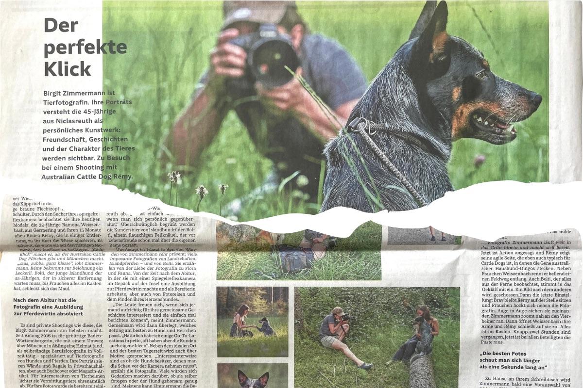 Wir sind in der Süddeutschen Zeitung! - Birgit Zimmermann Fotografie